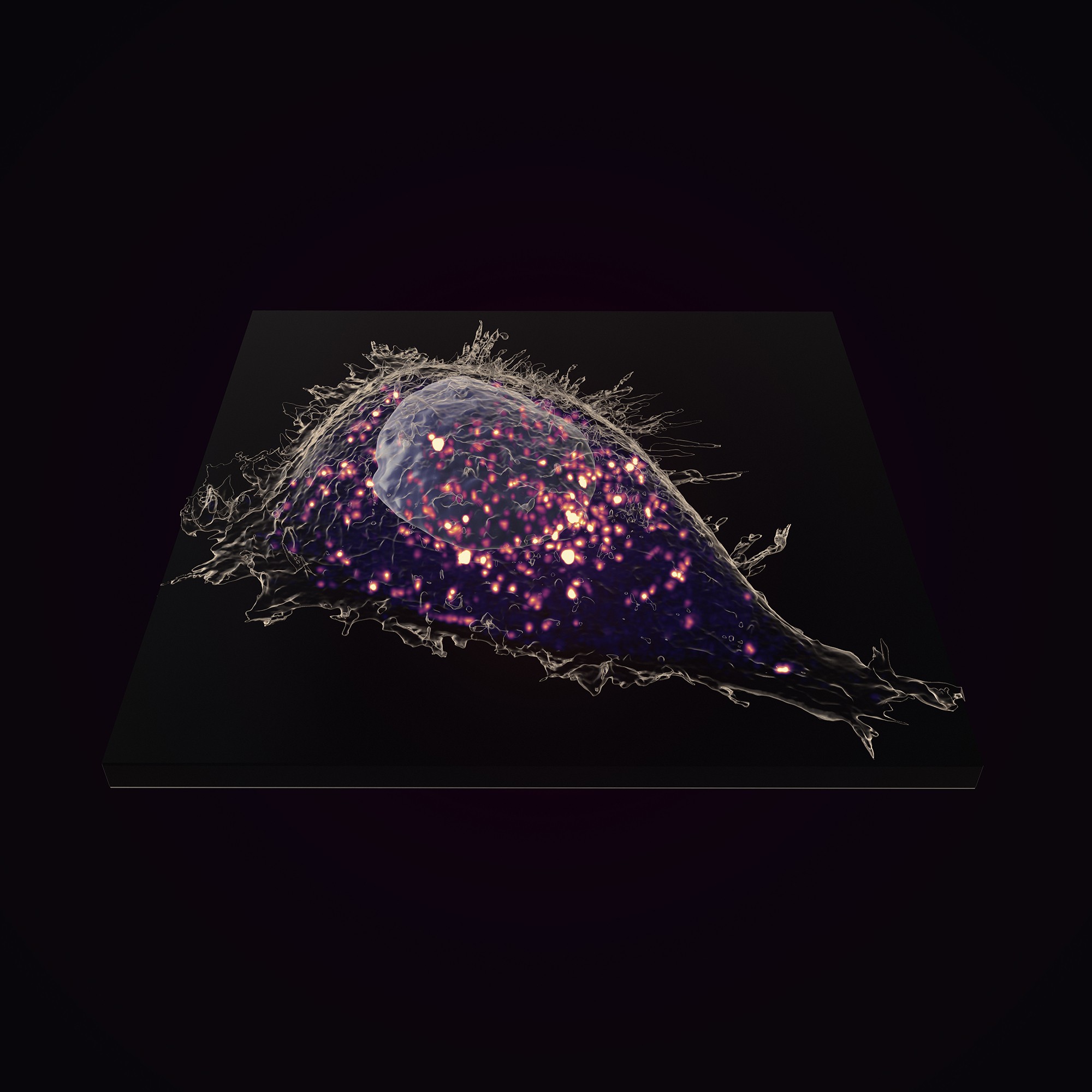 Advancing cap-independent mRNA translation | Department of Chemistry