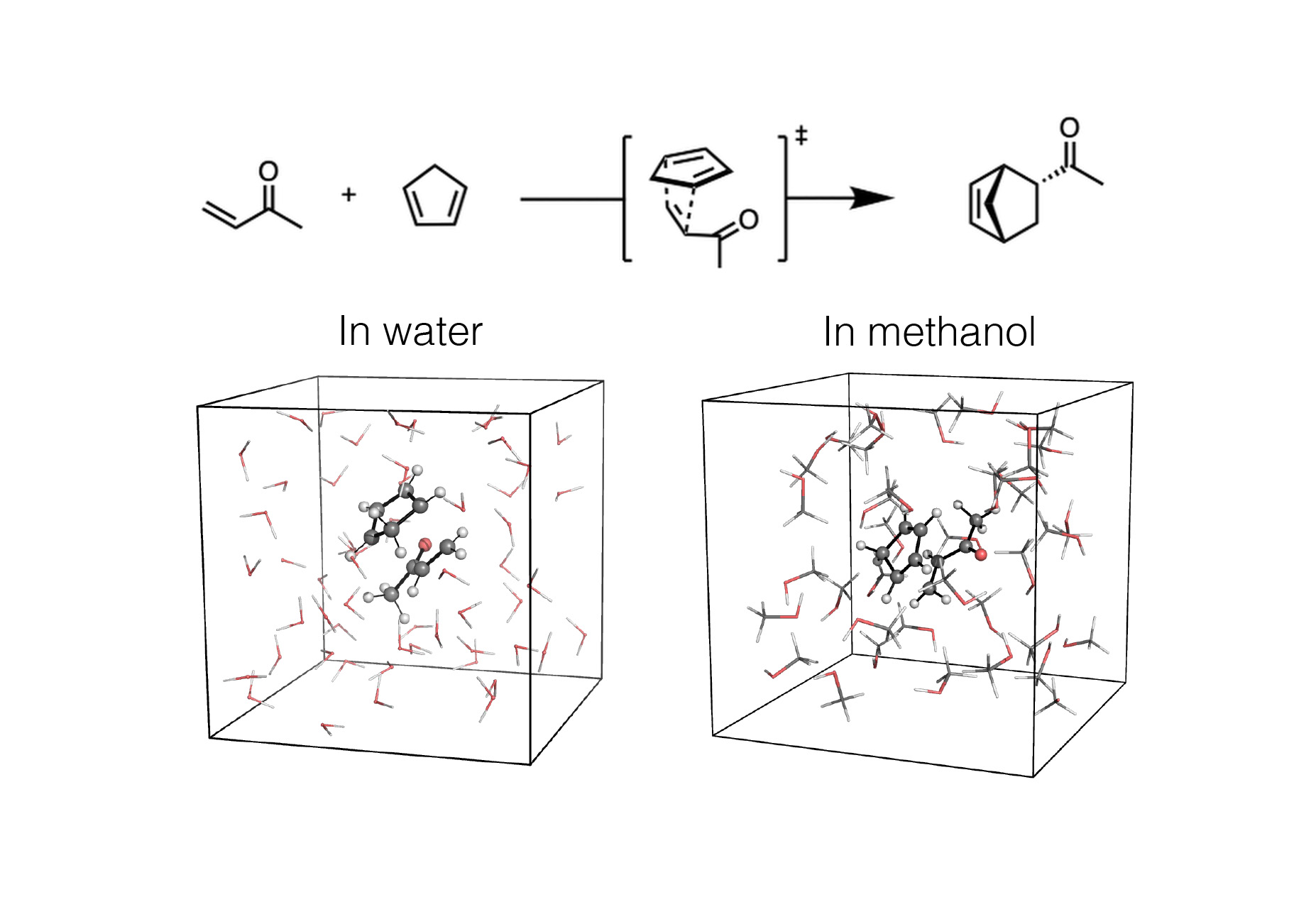 Machine learning for modelling solvent effects | Department of Chemistry