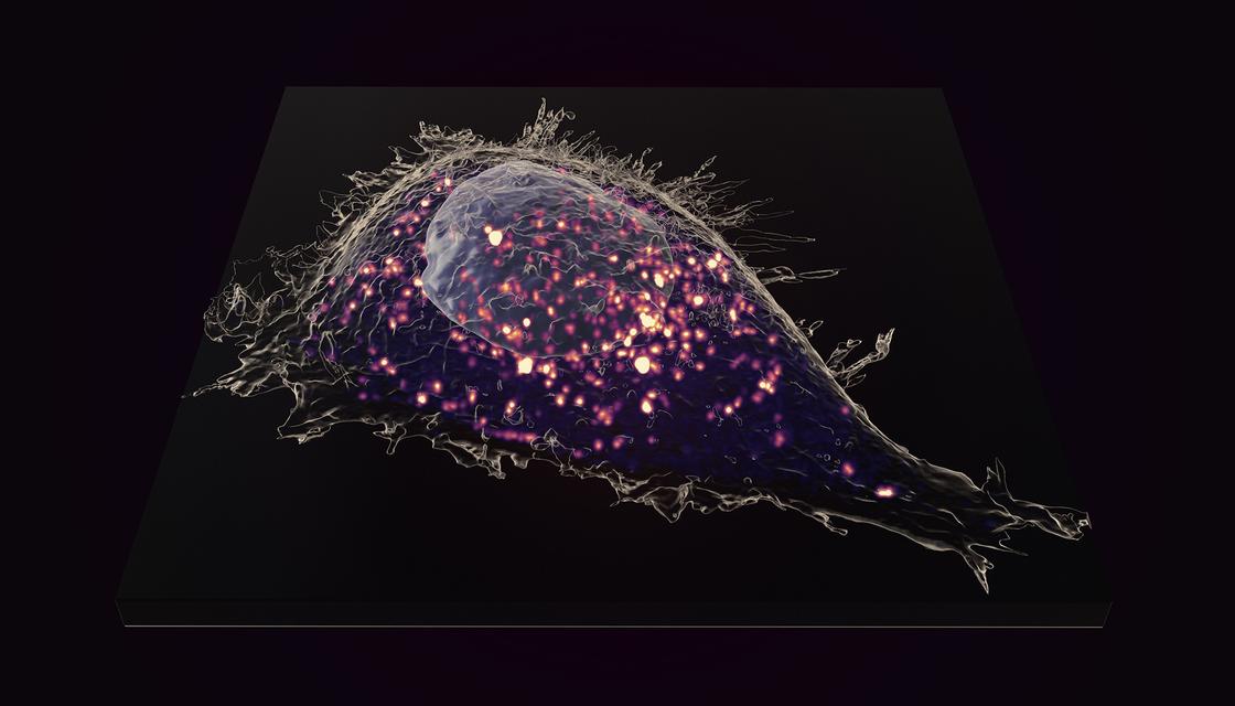 Advancing cap-independent mRNA translation | Department of Chemistry